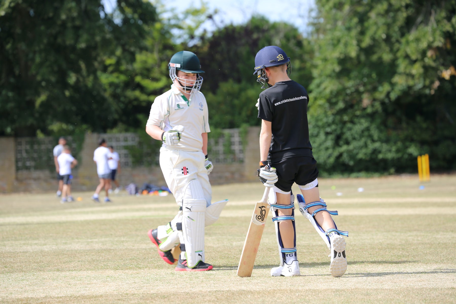 BOYS U12 - U15's OPEN WINTER TRAINING – Cricket School Of Excellence
